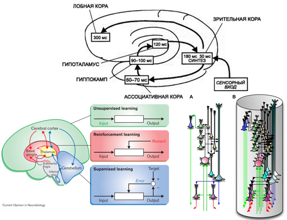 Research | Biologically plausible learning algorithms